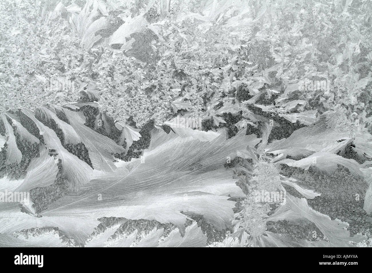 Jack frost on window hi-res stock photography and images - Alamy
