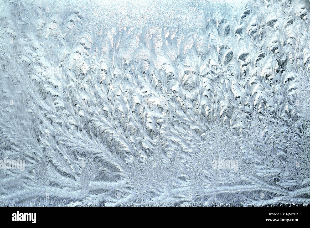 Jack frost on window hi-res stock photography and images - Alamy