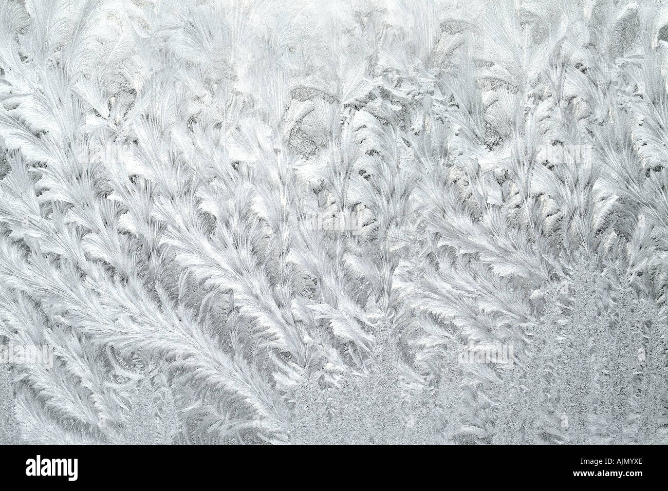 Permafrost pattern hi-res stock photography and images - Alamy