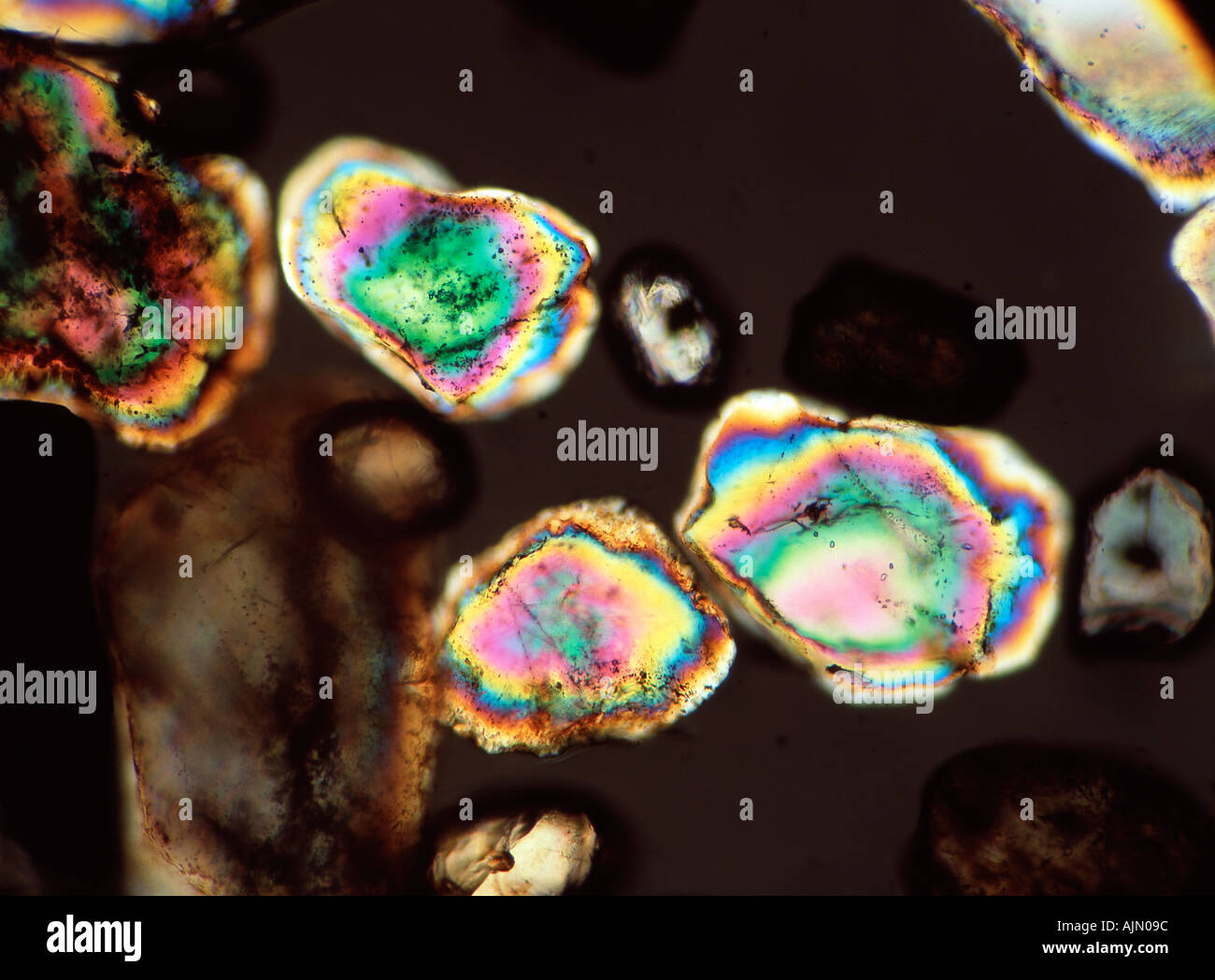 Platinum sand photomicrograph cross polarized Stock Photo - Alamy