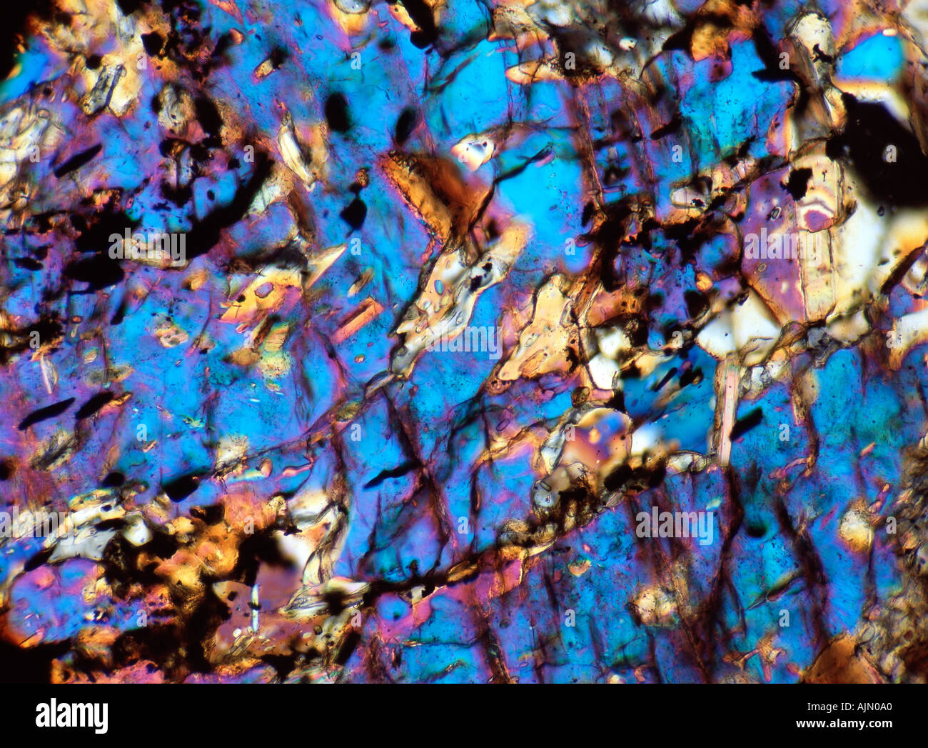 Schist section photomicrograph cross polarized lighting approx mag X150 ...