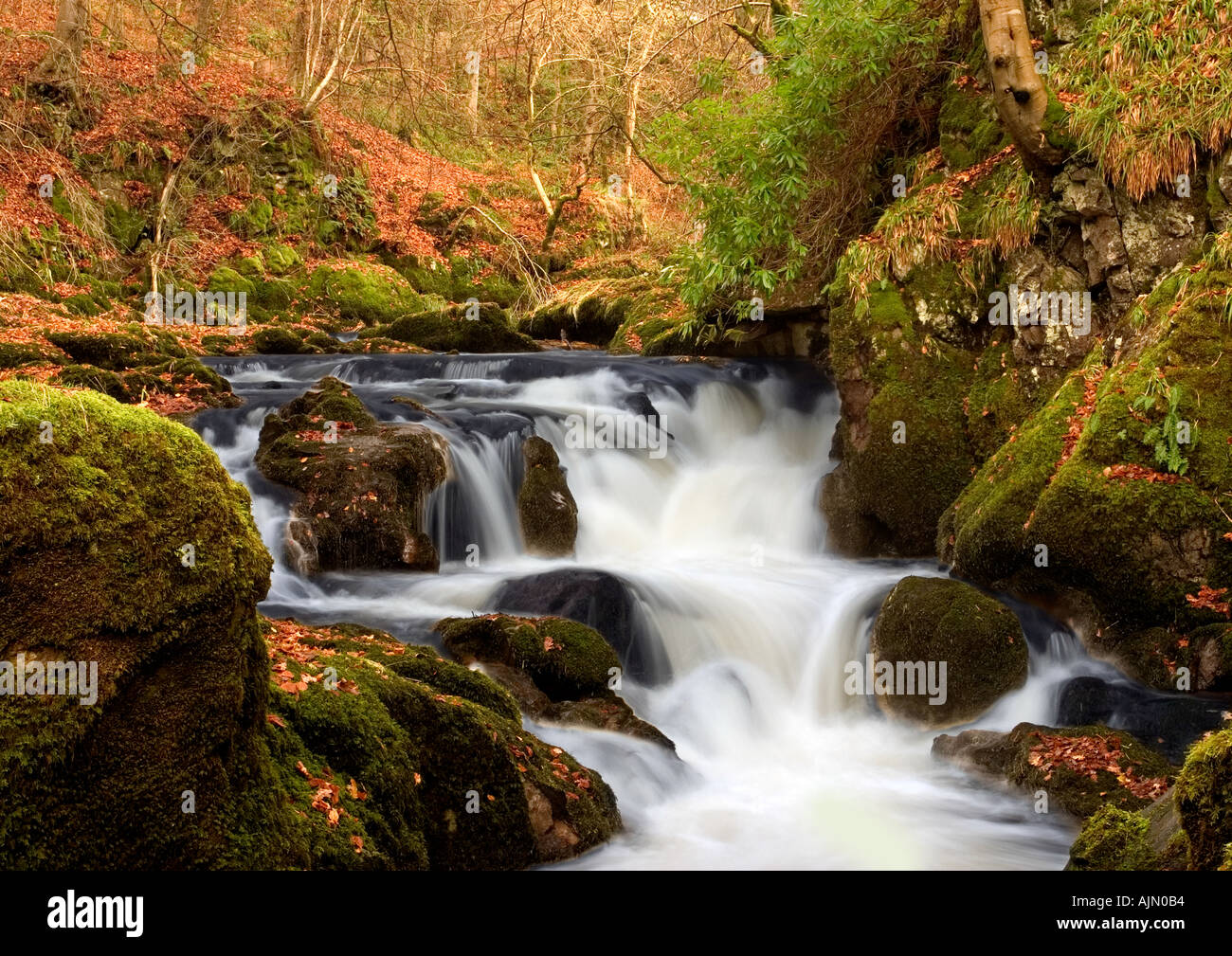 Rumbling bridge scotland hi-res stock photography and images - Alamy