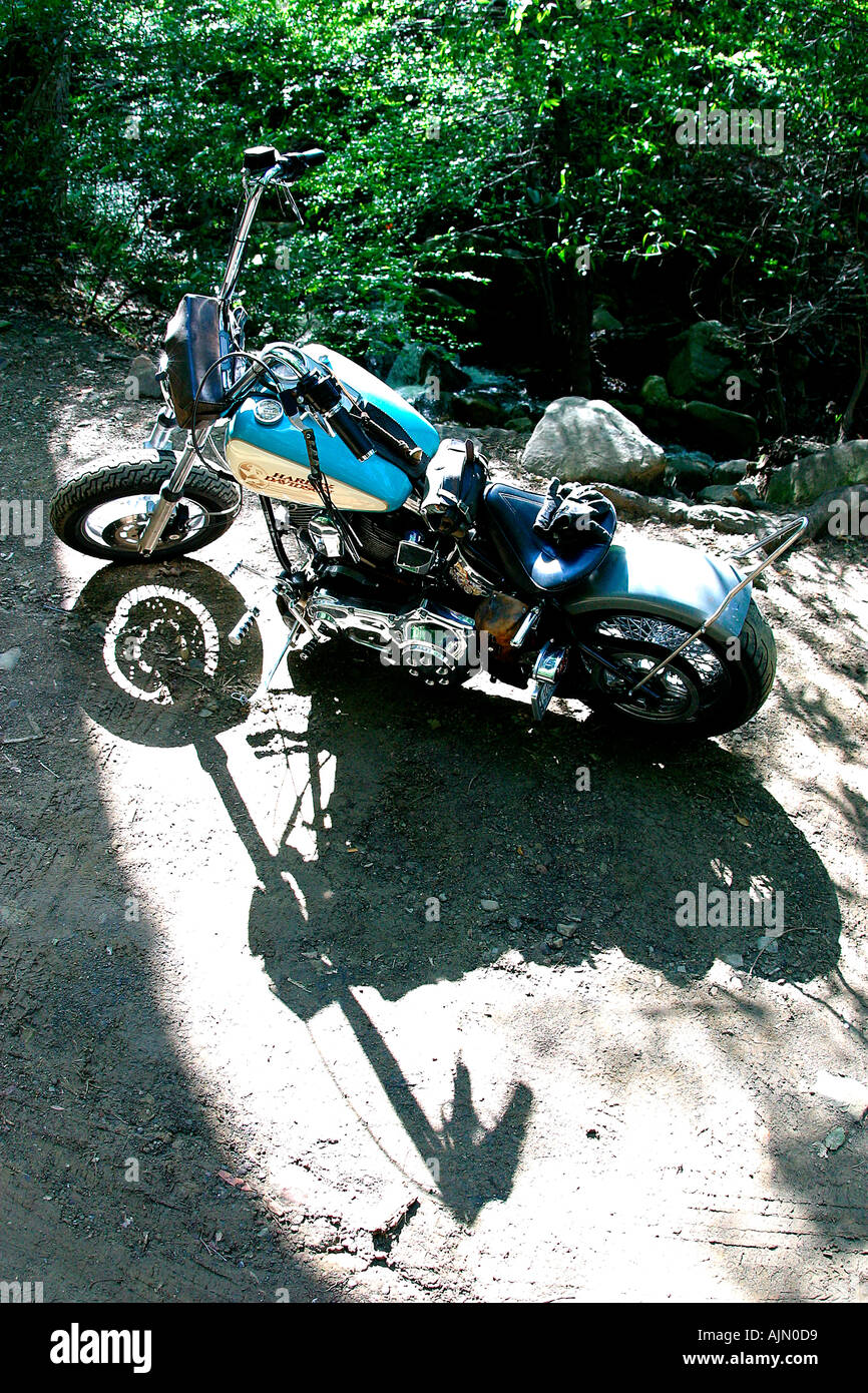 HARLEY DAVIDSON MOTORCYCLE PARKED IN A FOREST Stock Photo - Alamy