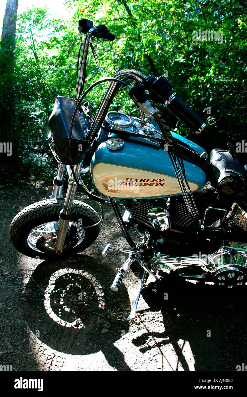 HARLEY DAVIDSON MOTORCYCLE PARKED IN A FOREST Stock Photo - Alamy