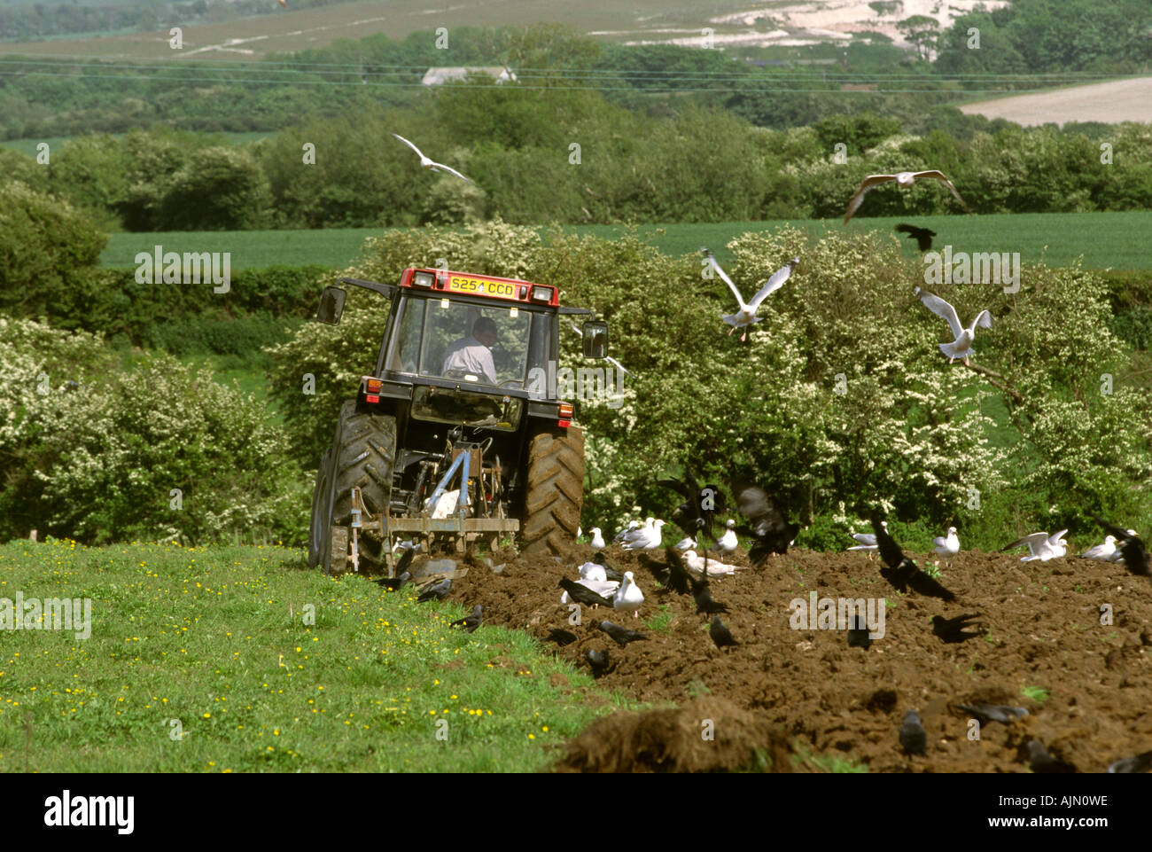 East Sussex Rodmell farm worker ploughing field Stock Photo - Alamy