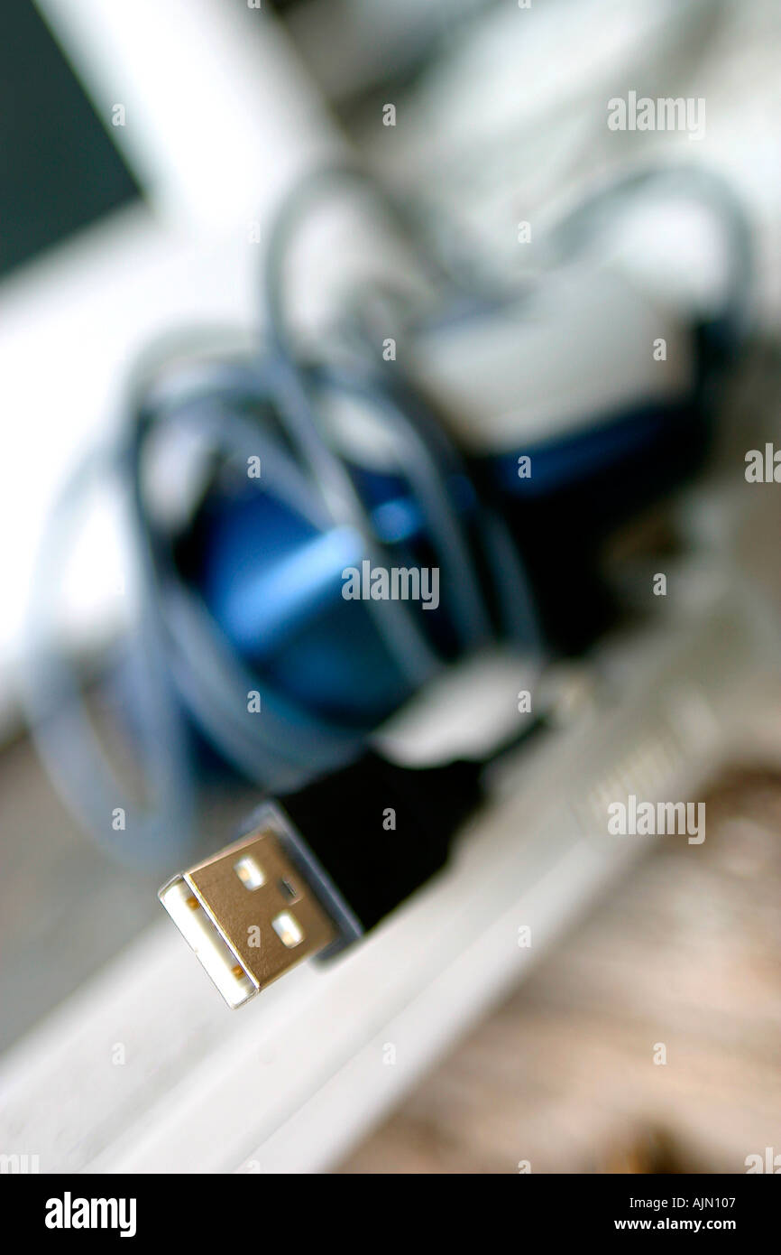 USB CONNECTION ON MOUSE Stock Photo - Alamy