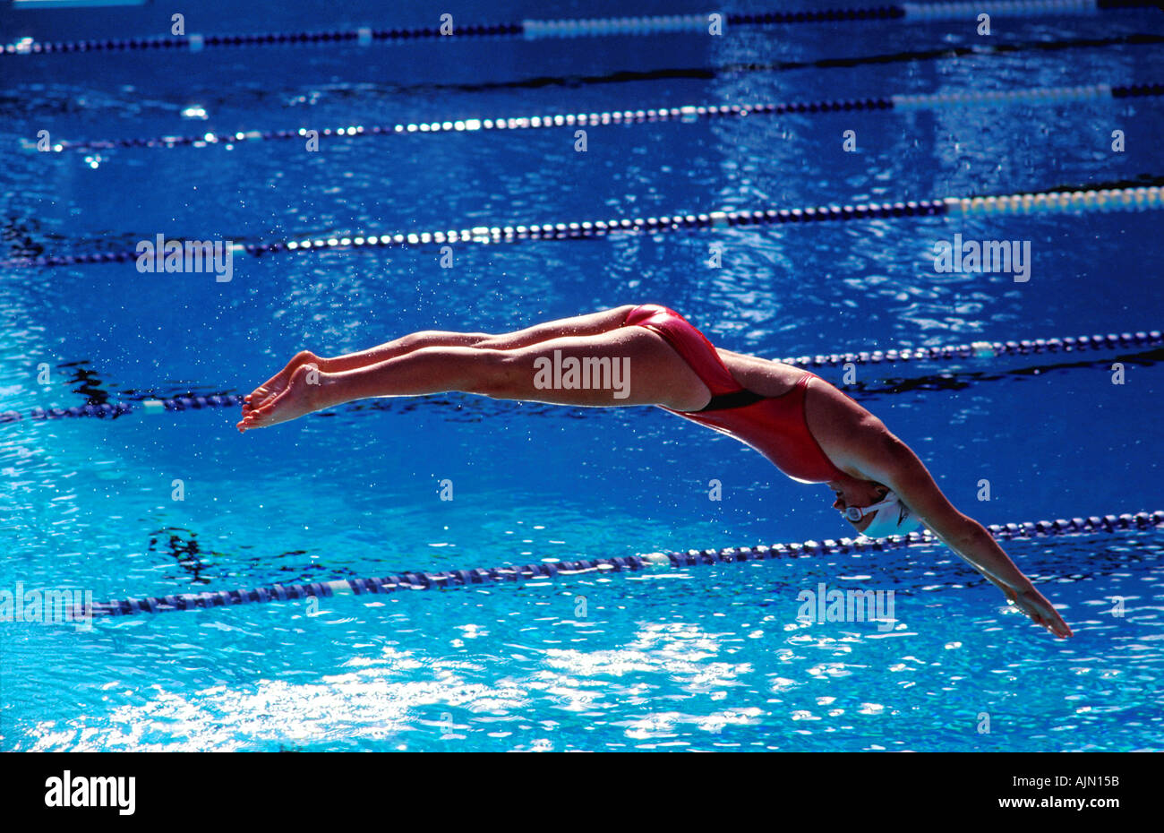 Swimmer diving woman diving hi-res stock photography and images - Alamy