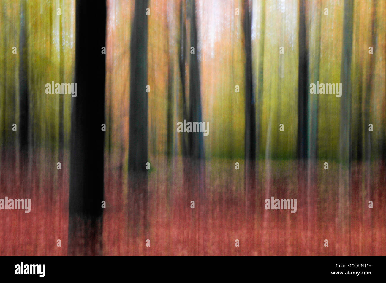 trees fall autumn keston kent england uk Stock Photo - Alamy