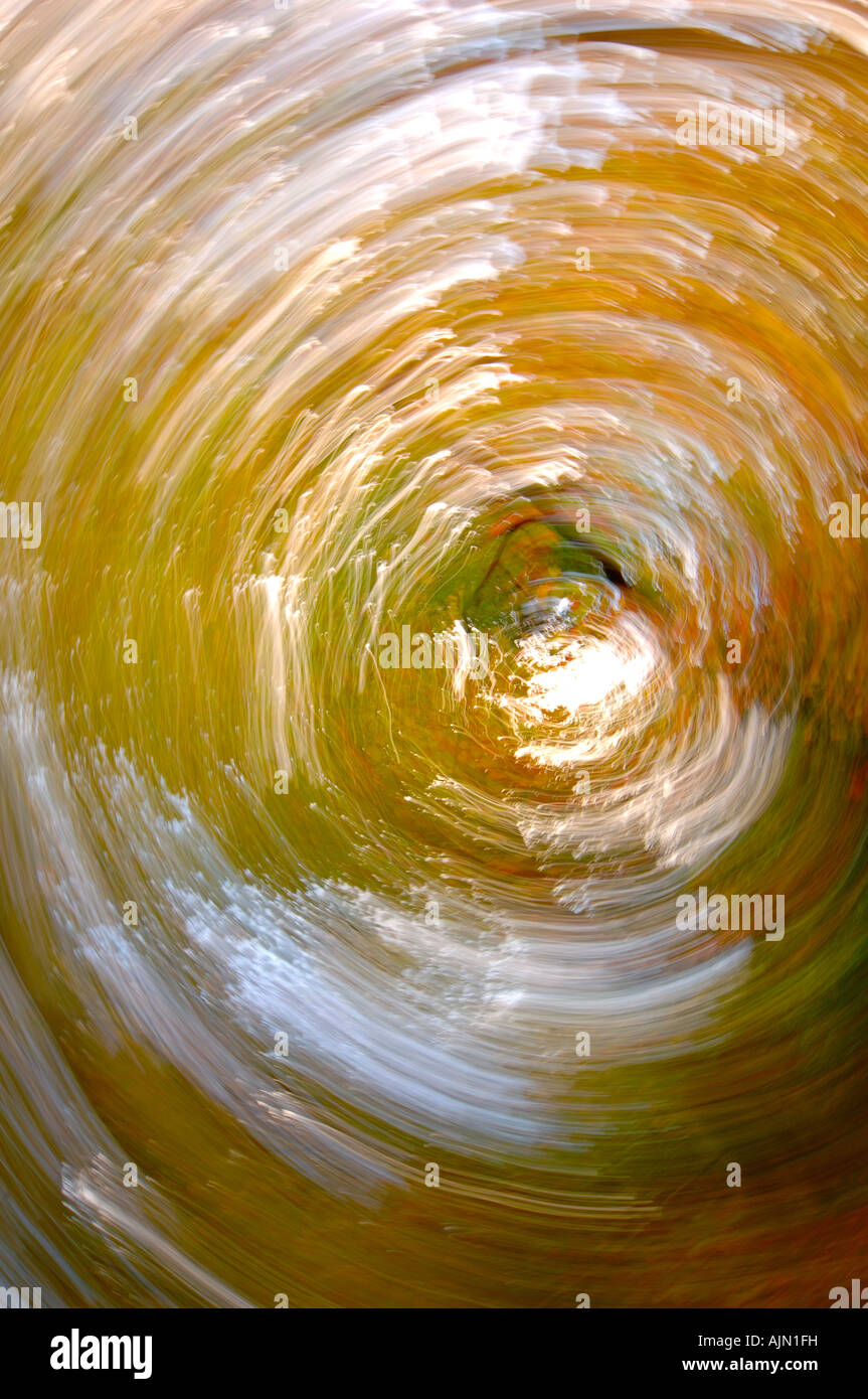 abstract swirling circle of forest circular artistic effect Stock Photo ...