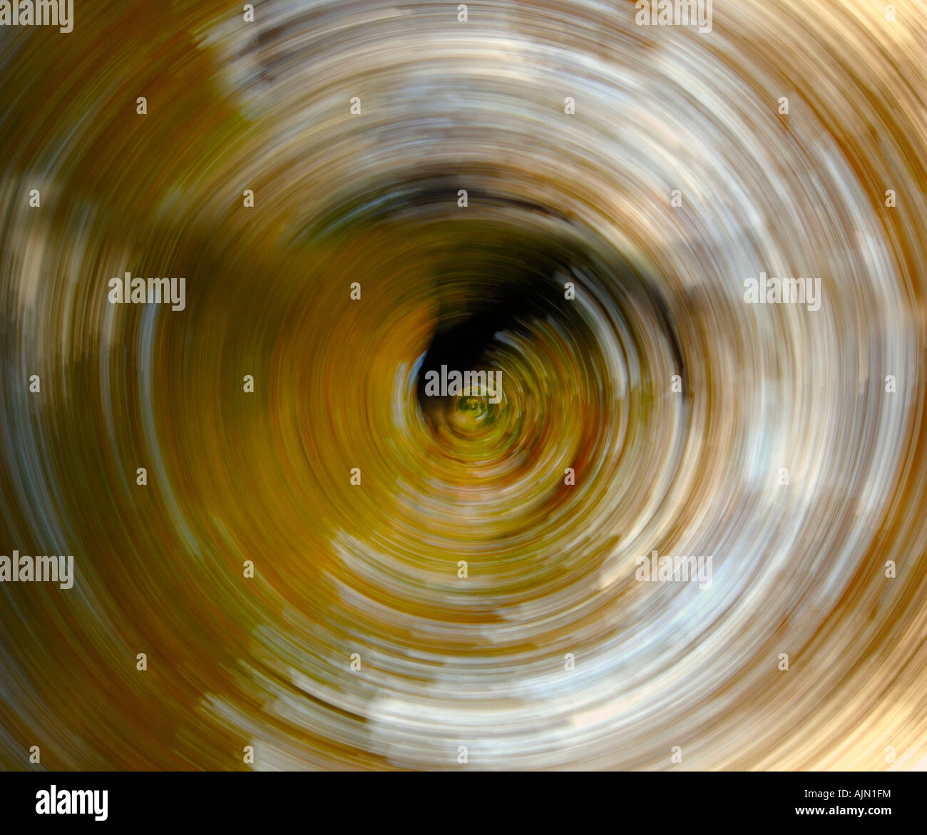 abstract swirling circle of forest circular artistic effect Stock Photo ...