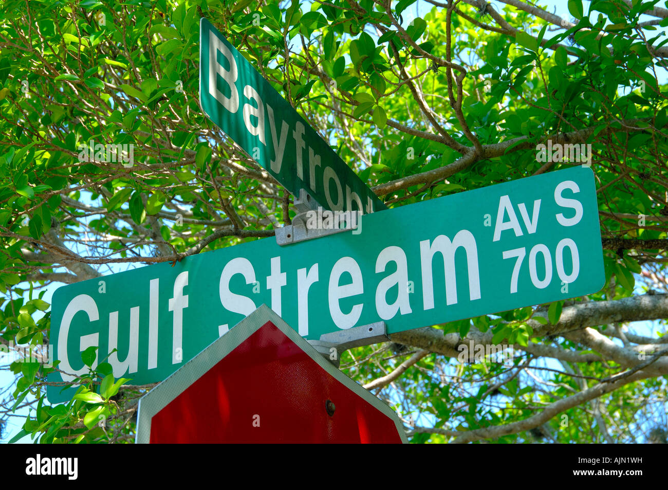 saint st. armands key circular circle shopping eating restaurant centre ...