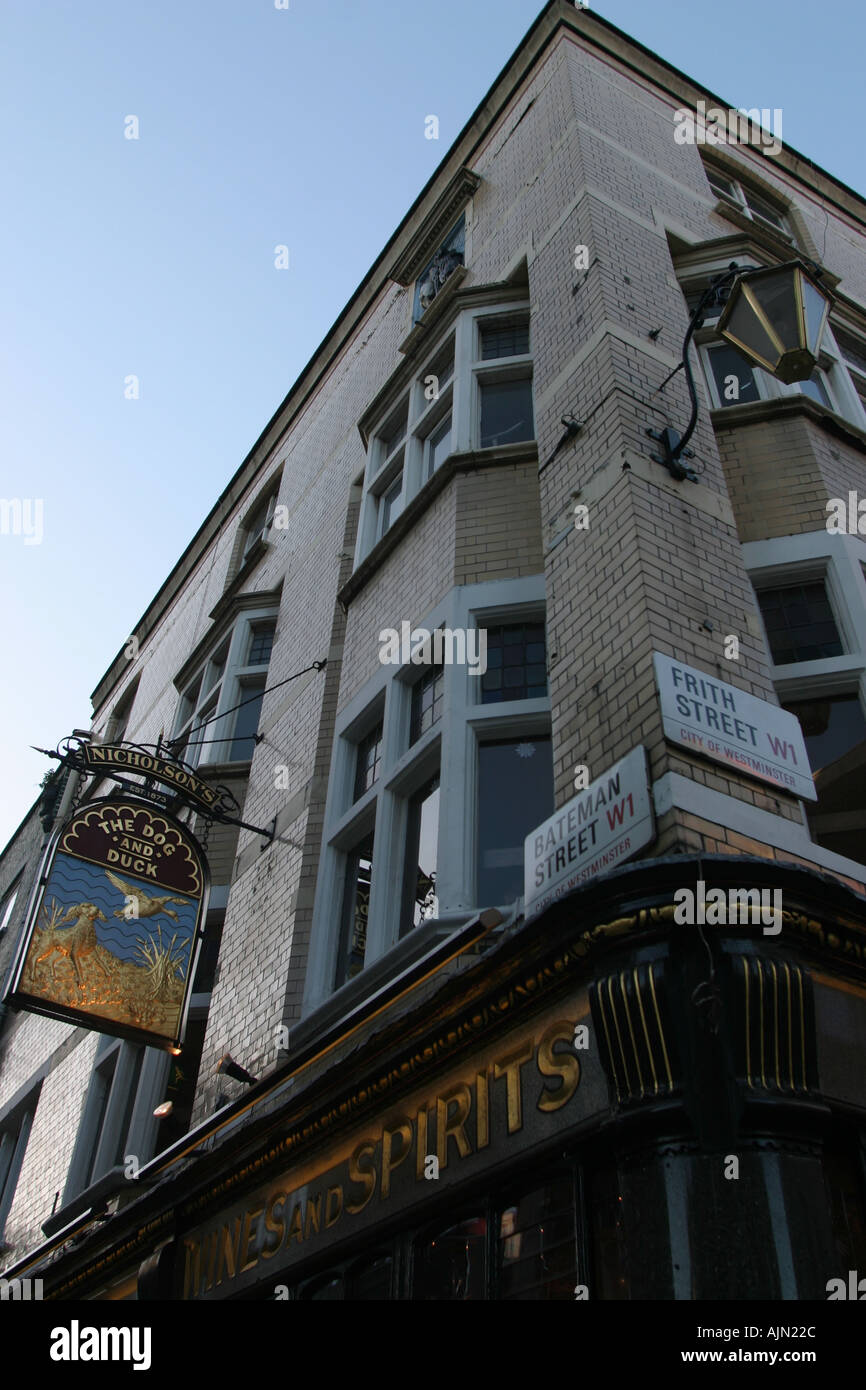 Dog and Duck Pub Stock Photo - Alamy