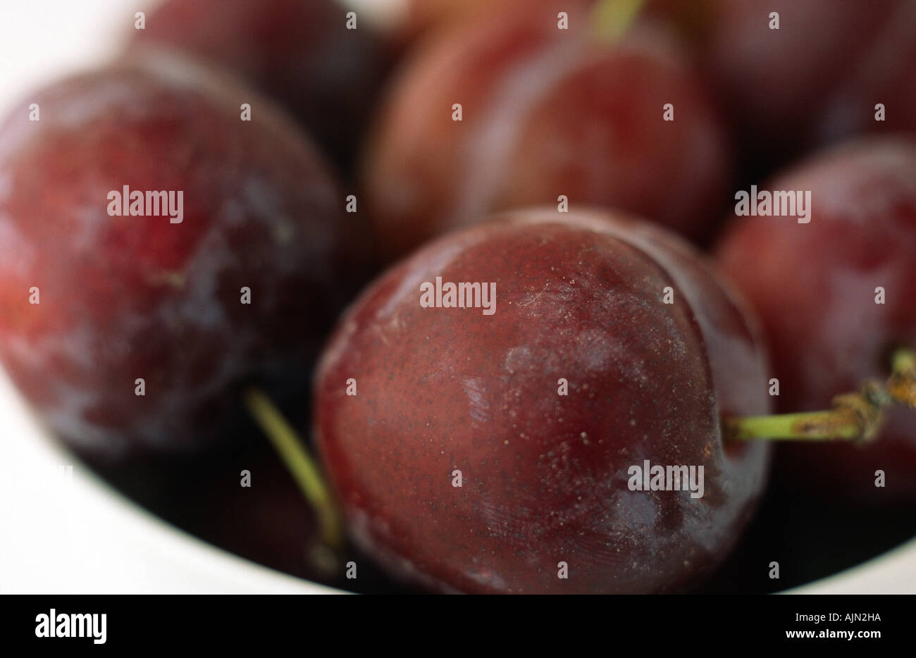 Prunus domestica ‘opal’ hi-res stock photography and images - Alamy