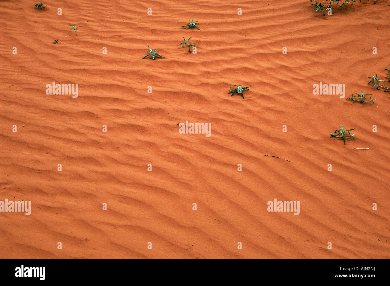 ripples in sand creating undulating wave pattern made by wind monument ...