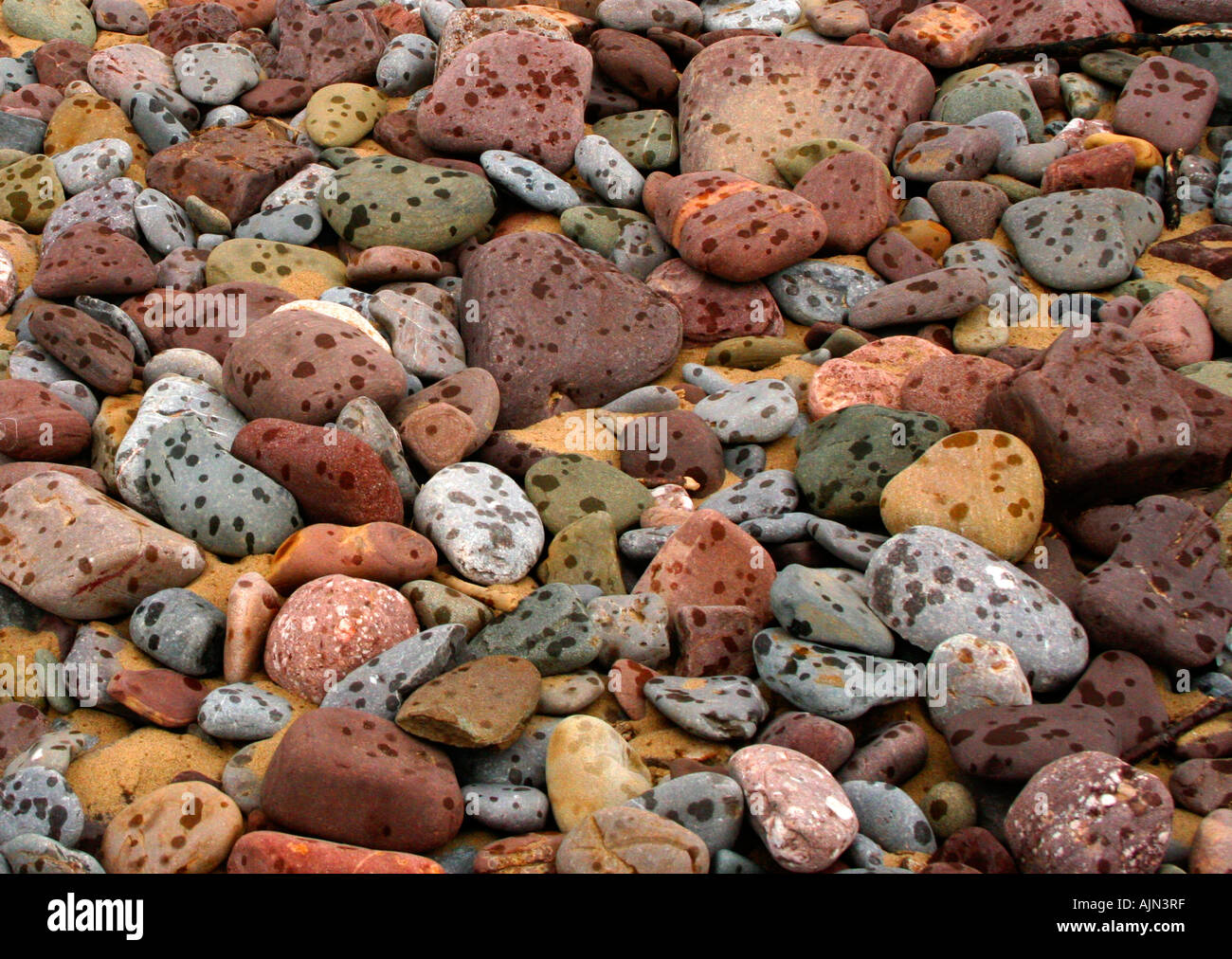 Coloured pebbles on beach with rain drops Stock Photo - Alamy