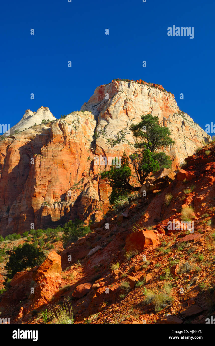 zion national park utah north america usa panoramic Stock Photo - Alamy