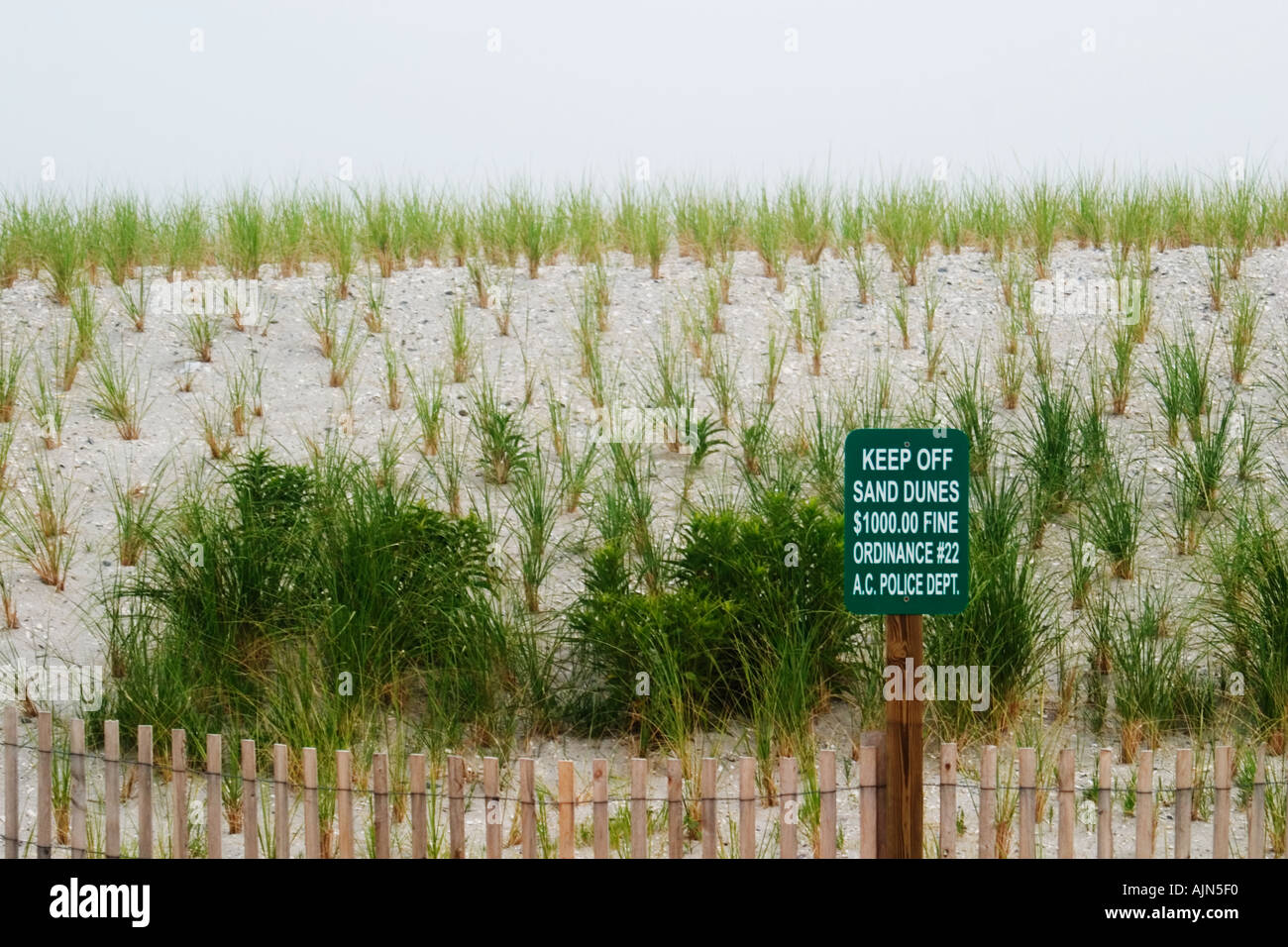 Sign on beach Stock Photo - Alamy