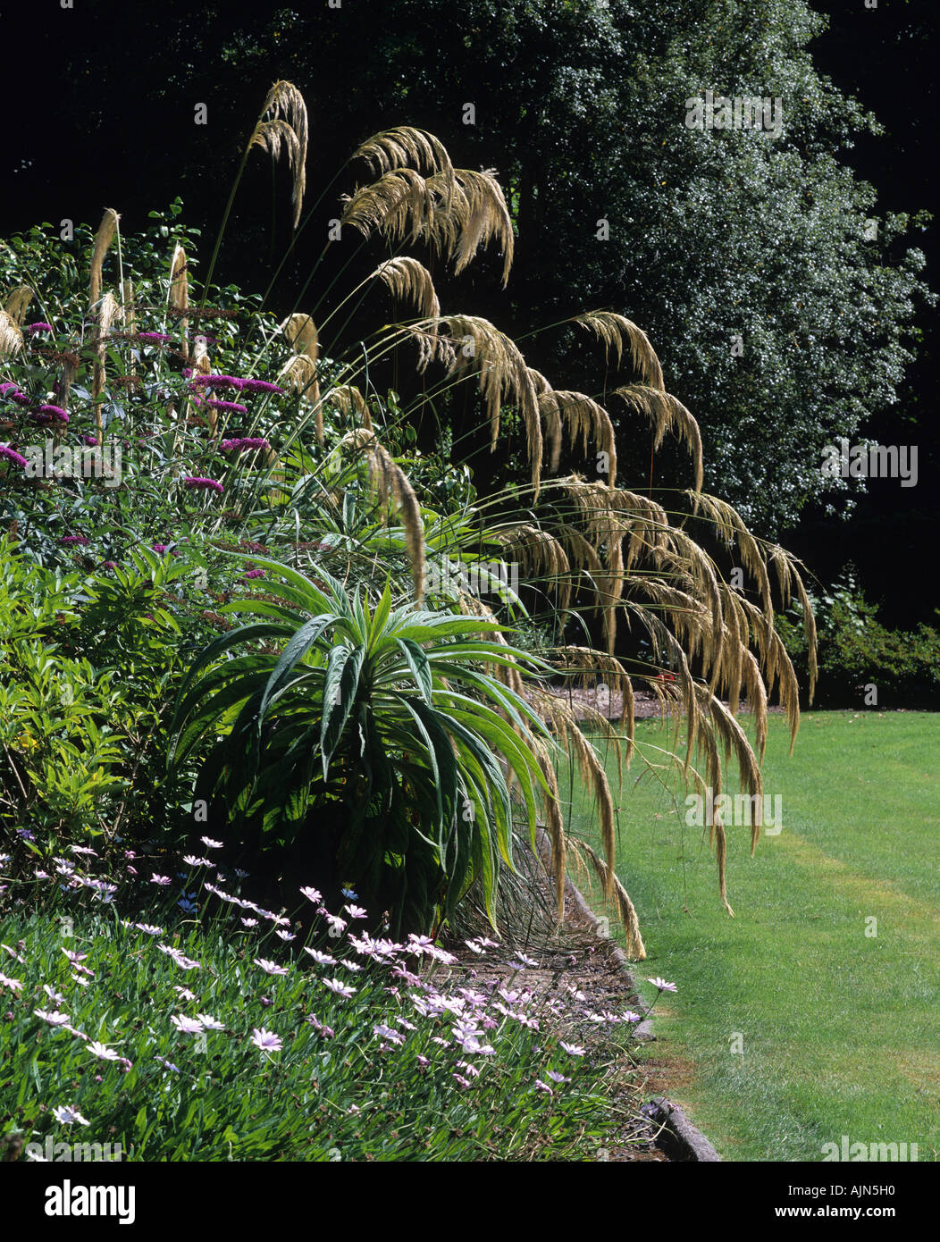 Achamore garden gigha hi-res stock photography and images - Alamy