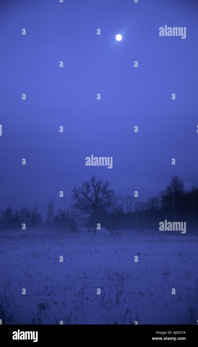 Misty full moon night hi-res stock photography and images - Alamy