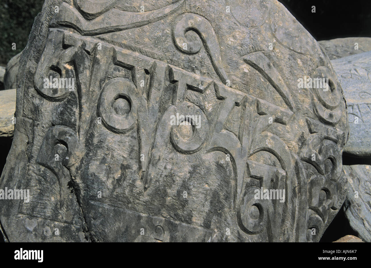 Living scriptures hi-res stock photography and images - Alamy