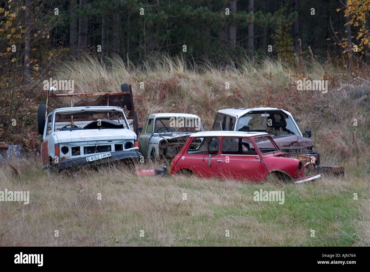 Junk Cars in field Stock Photo - Alamy