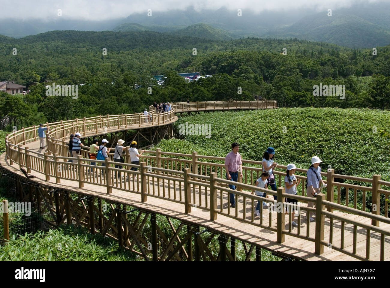 Wooden walkway in Five Lakes area of Shiretoko National Park Hokkaido ...