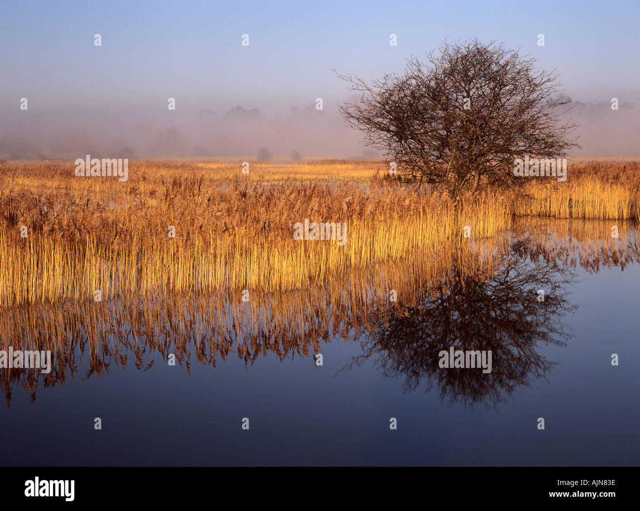 Natura 2000 england hi-res stock photography and images - Alamy
