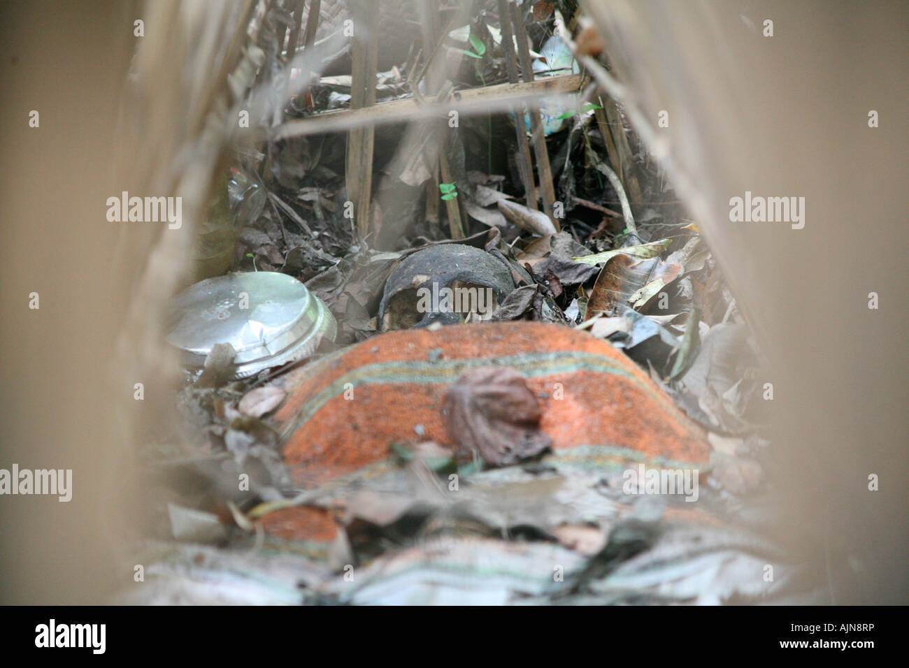 Bali body hi-res stock photography and images - Alamy