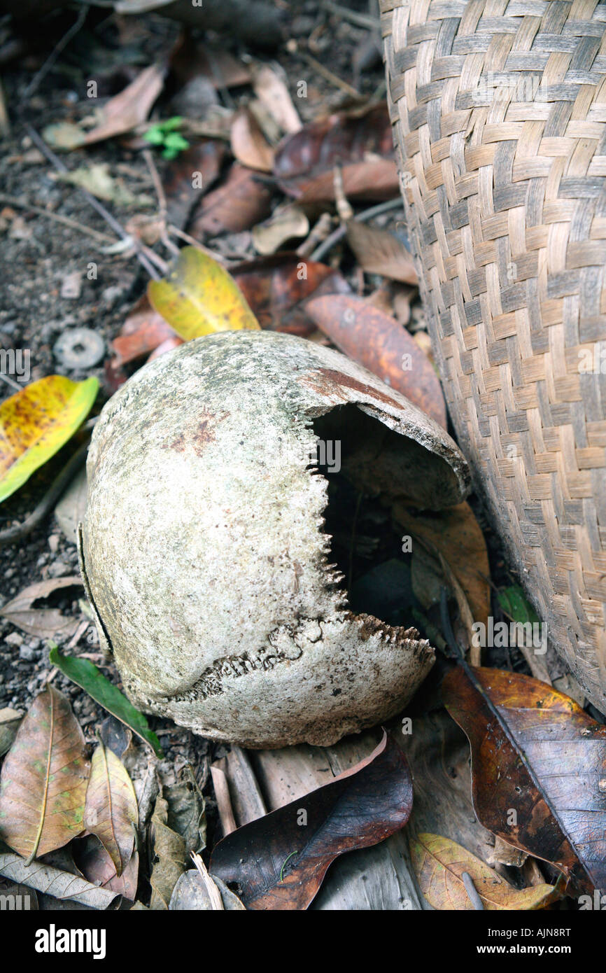 Skull at Trunyan cemetery, Lake Batur, Bali, Indonesia Stock Photo - Alamy