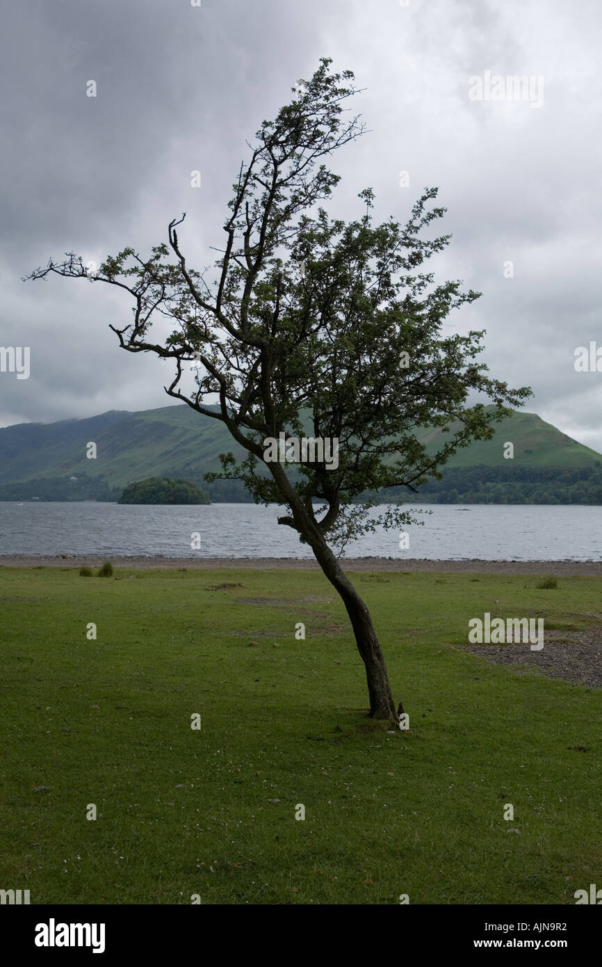 Windy day on lake movement hi-res stock photography and images - Alamy
