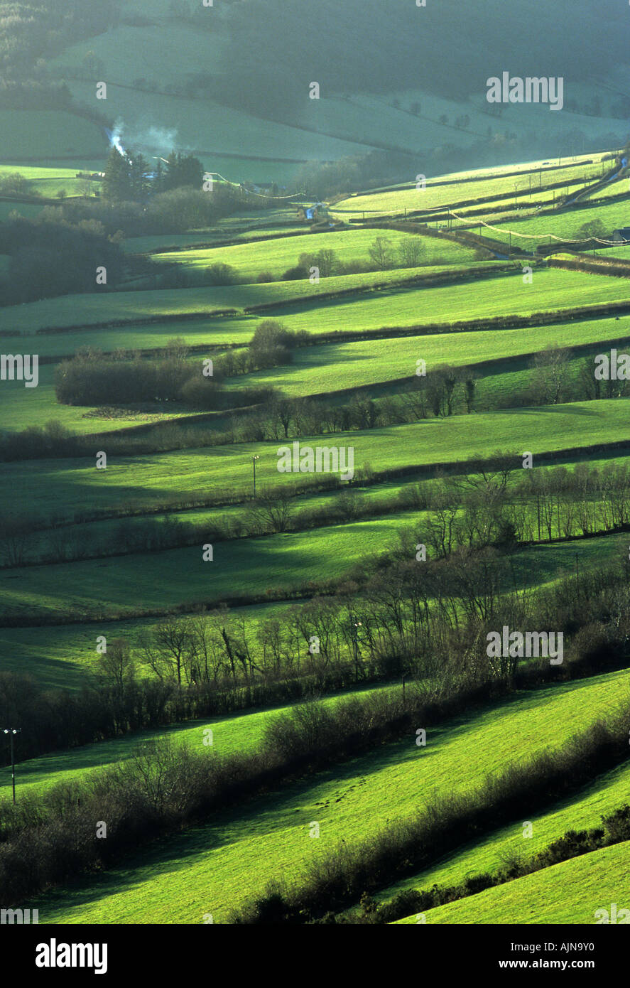 Patterns of hedges and fields in the Severn (Hafren) Valley near ...