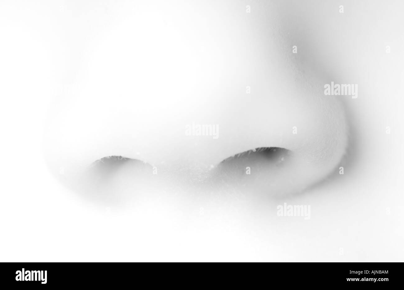 Child s nose Stock Photo - Alamy
