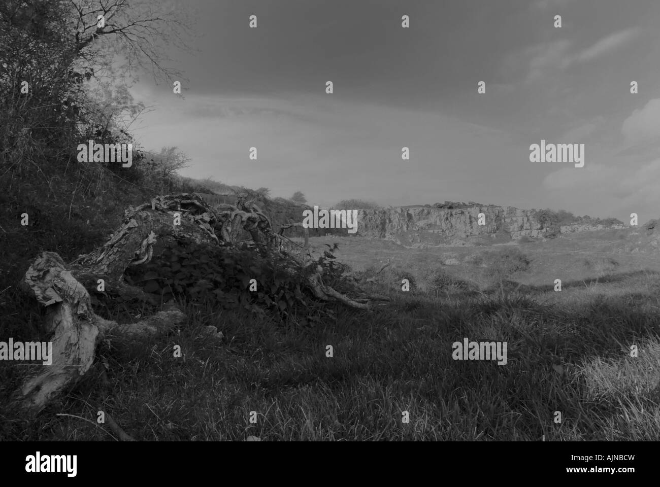 B mono hi-res stock photography and images - Alamy