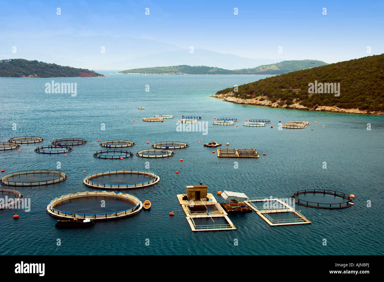 Fish farming weirs in the Corinthian Gulf near Galaxidi Greece Stock ...