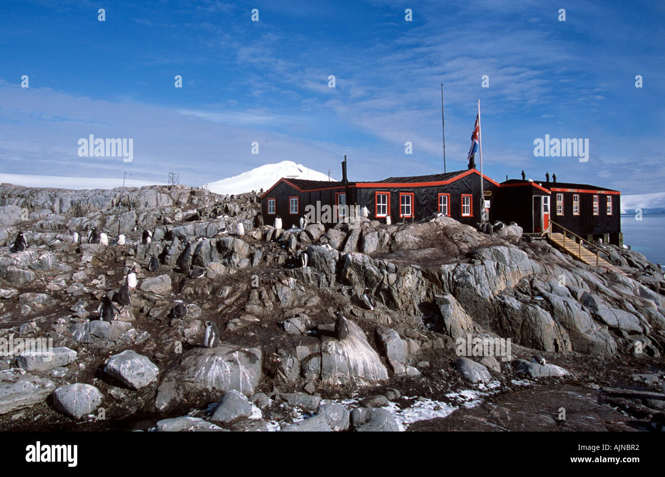 Port Lockroy Post Office, Antarctica Stock Photo - Alamy