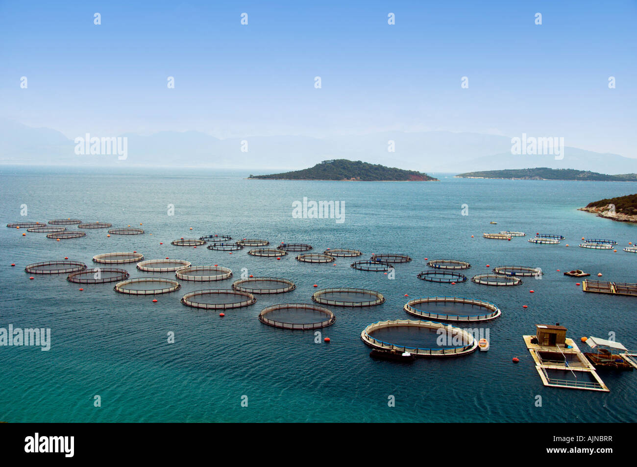 Fish farming weirs in the Corinthian Gulf near Galaxidi, Greece Stock ...