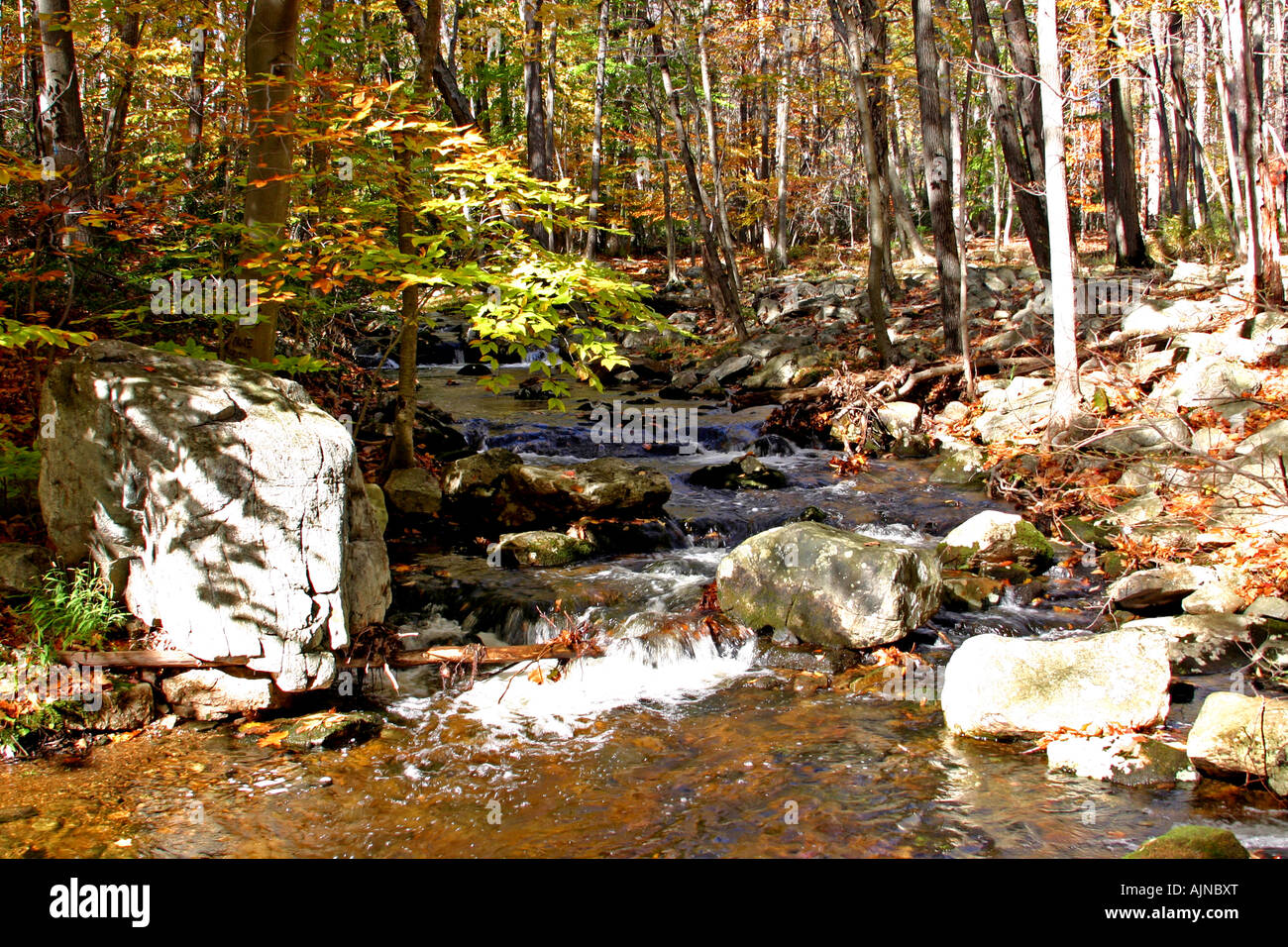 Autumn Stream VI Stock Photo - Alamy