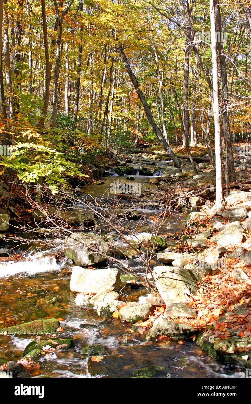 Autumn Stream IV Stock Photo - Alamy