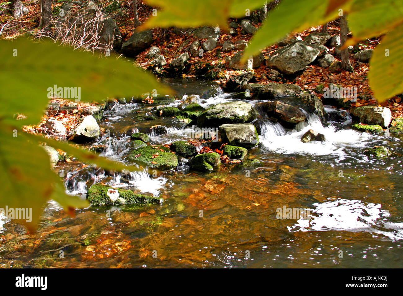 Autumn Stream II Stock Photo - Alamy