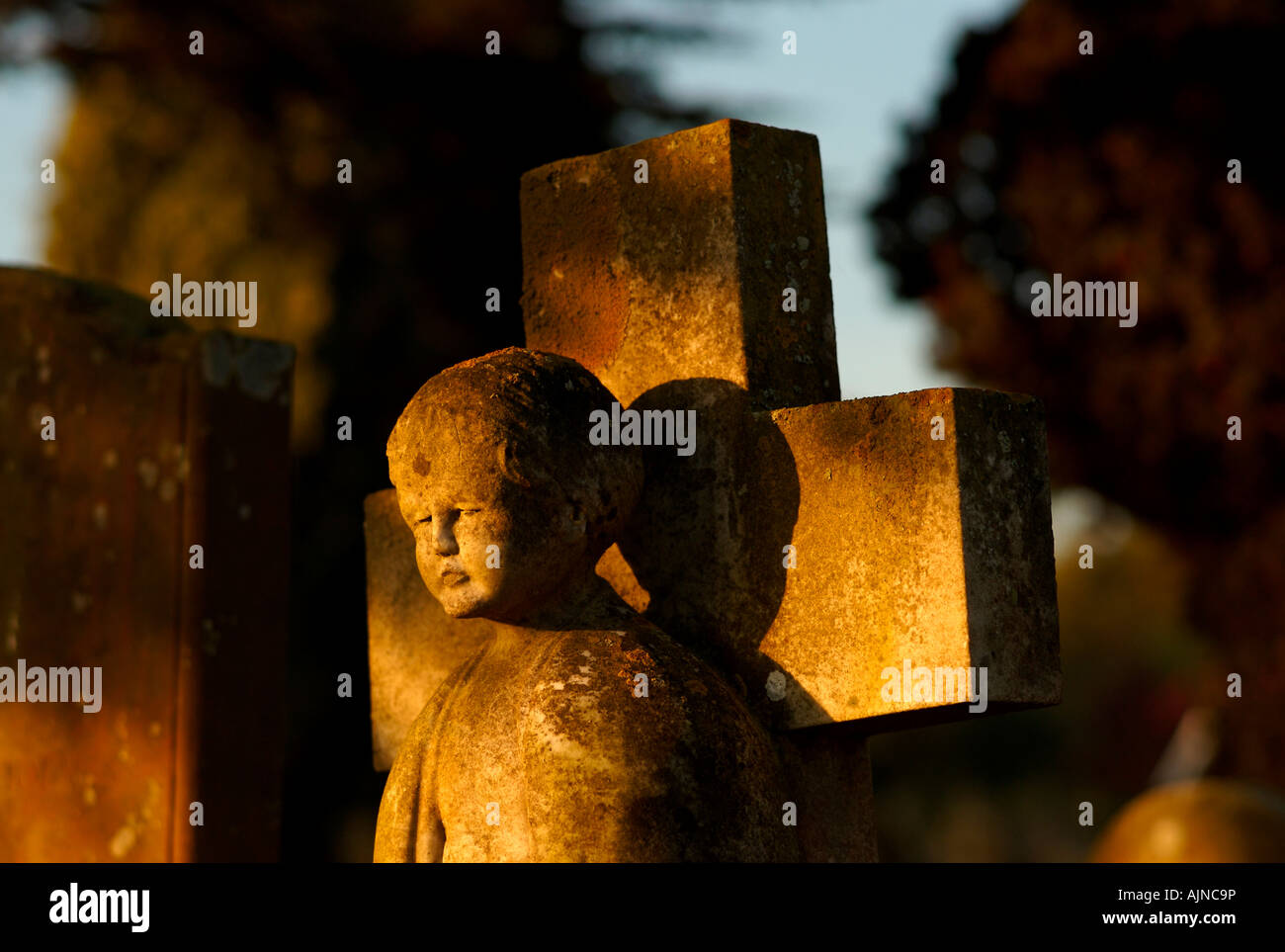 Gravestone for a young child in an English graveyard Stock Photo - Alamy