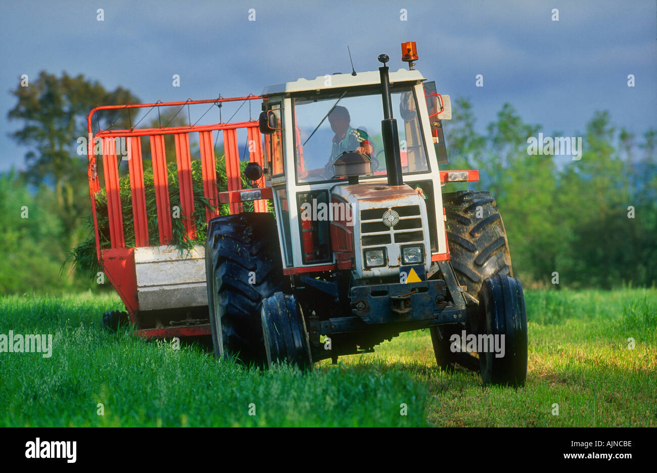 TRACTOR AT WORKING FIELD ON A FARM Stock Photo - Alamy