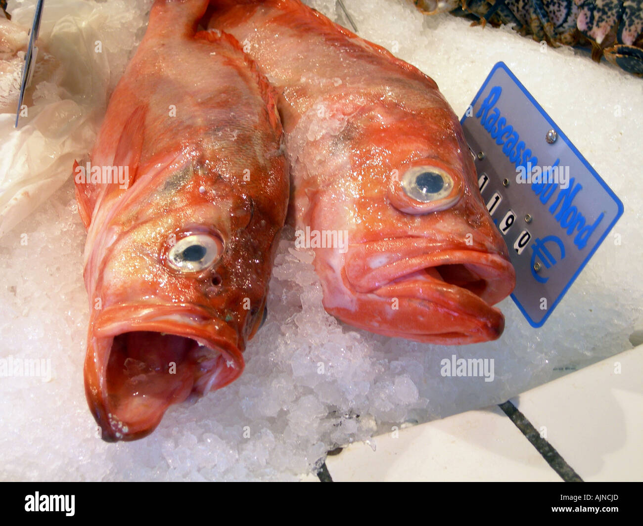 Europe food market hi-res stock photography and images - Alamy