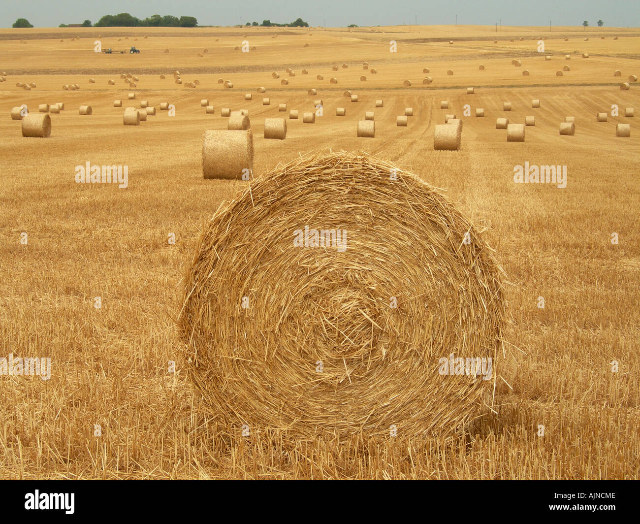 Grain harvest hi-res stock photography and images - Alamy