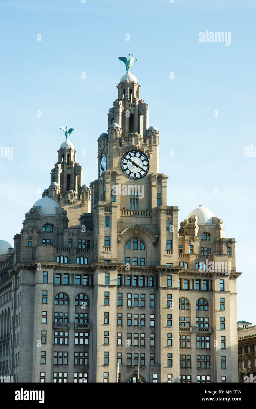 Close up of Liver building, Liverpool Stock Photo - Alamy