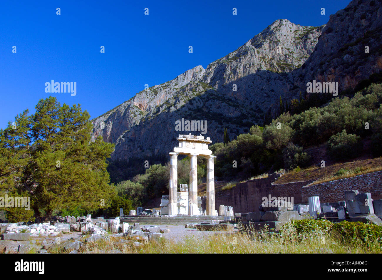 The Tholos Temple Sanctuary of Athena ruins in Delphi Greece Stock ...