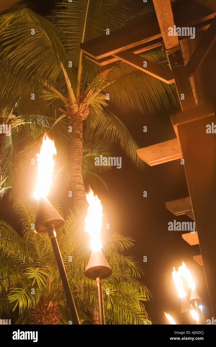 Torches with palm trees Stock Photo - Alamy