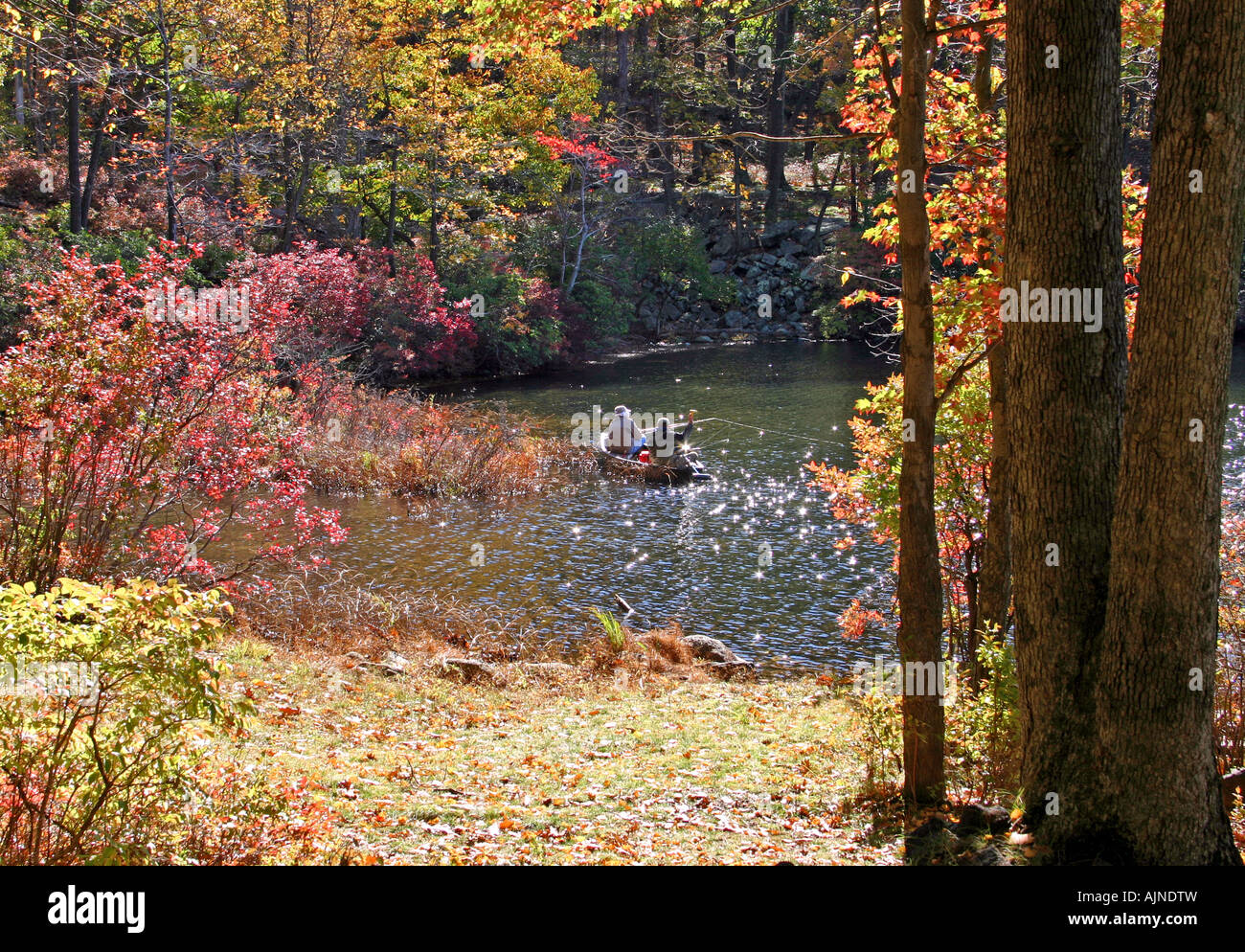 Autumn Fishing I Stock Photo - Alamy