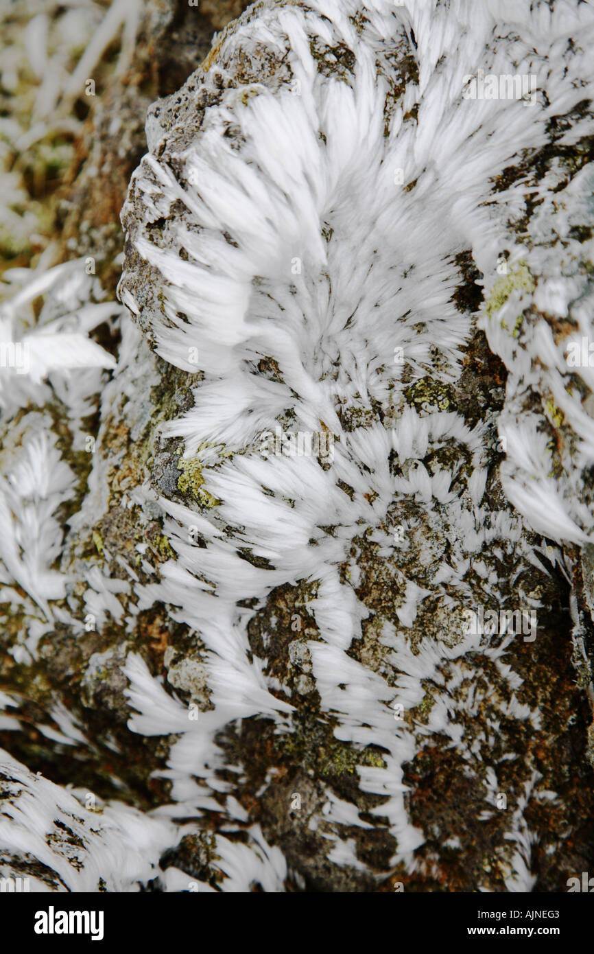 Hoar frost crystals on top of Snowdonia mountain in freezing cloud ...