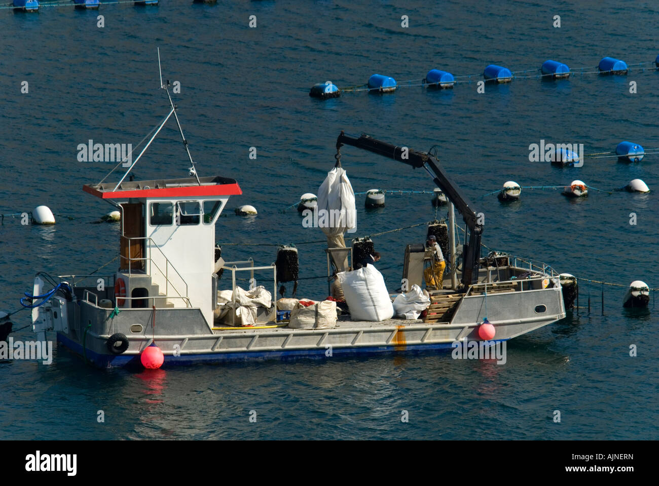 Fish farm support boat working at Killary Harbour, border of counties ...