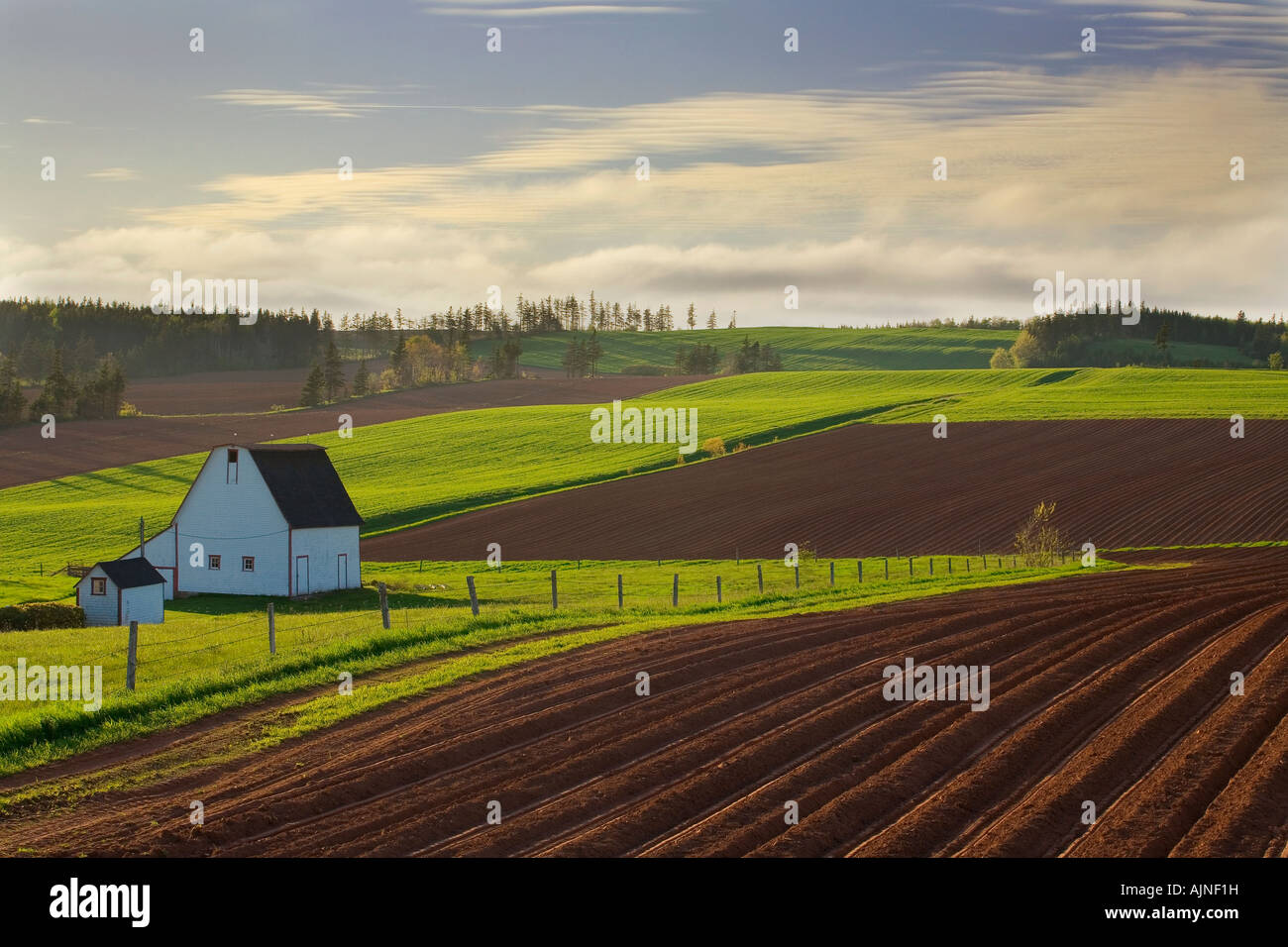 Barn and spring fields, Irishtown, Prince Edward Island, Canada Stock ...